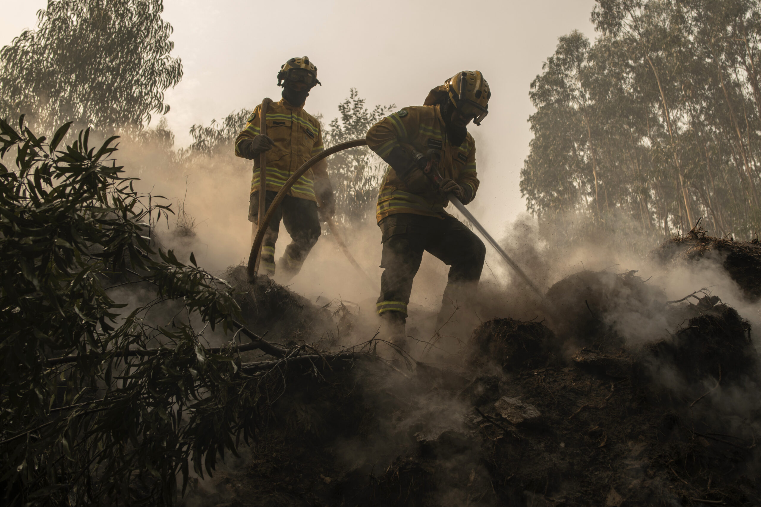 The War on Wildfires Is Going High-Tech