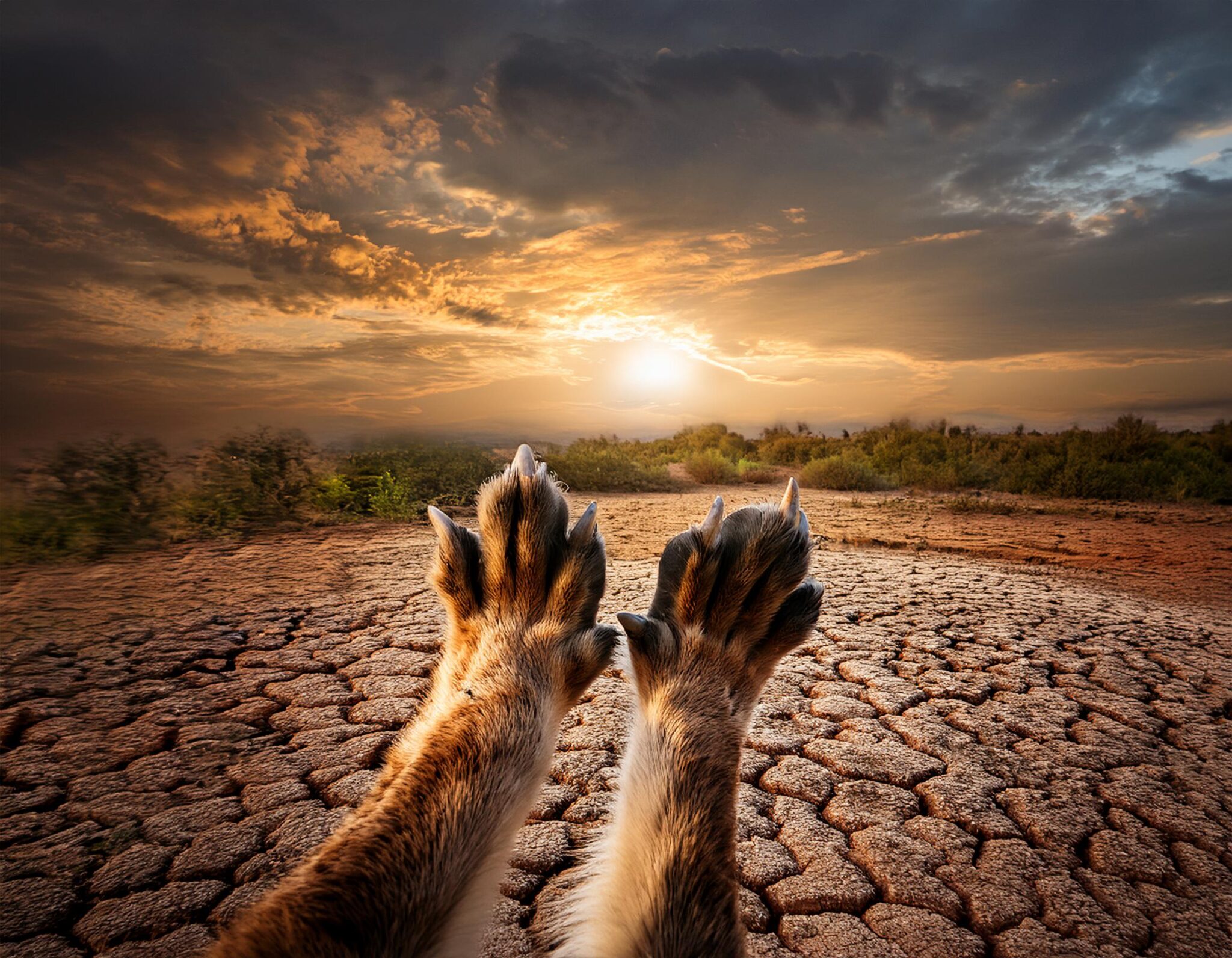 Insured Losses From Natural Disasters Hit $140B in 2024