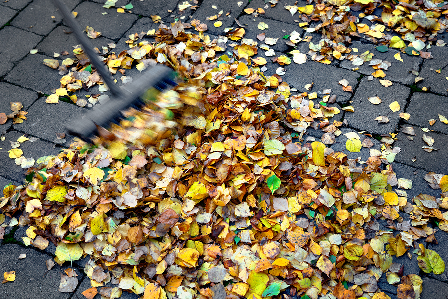 Fall Forecast Calls for Above Normal Temps, Mixed Precipitation Across U.S.