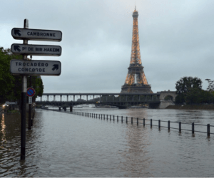 Carrier Management - Critical Information for P/C Insurance Company ...