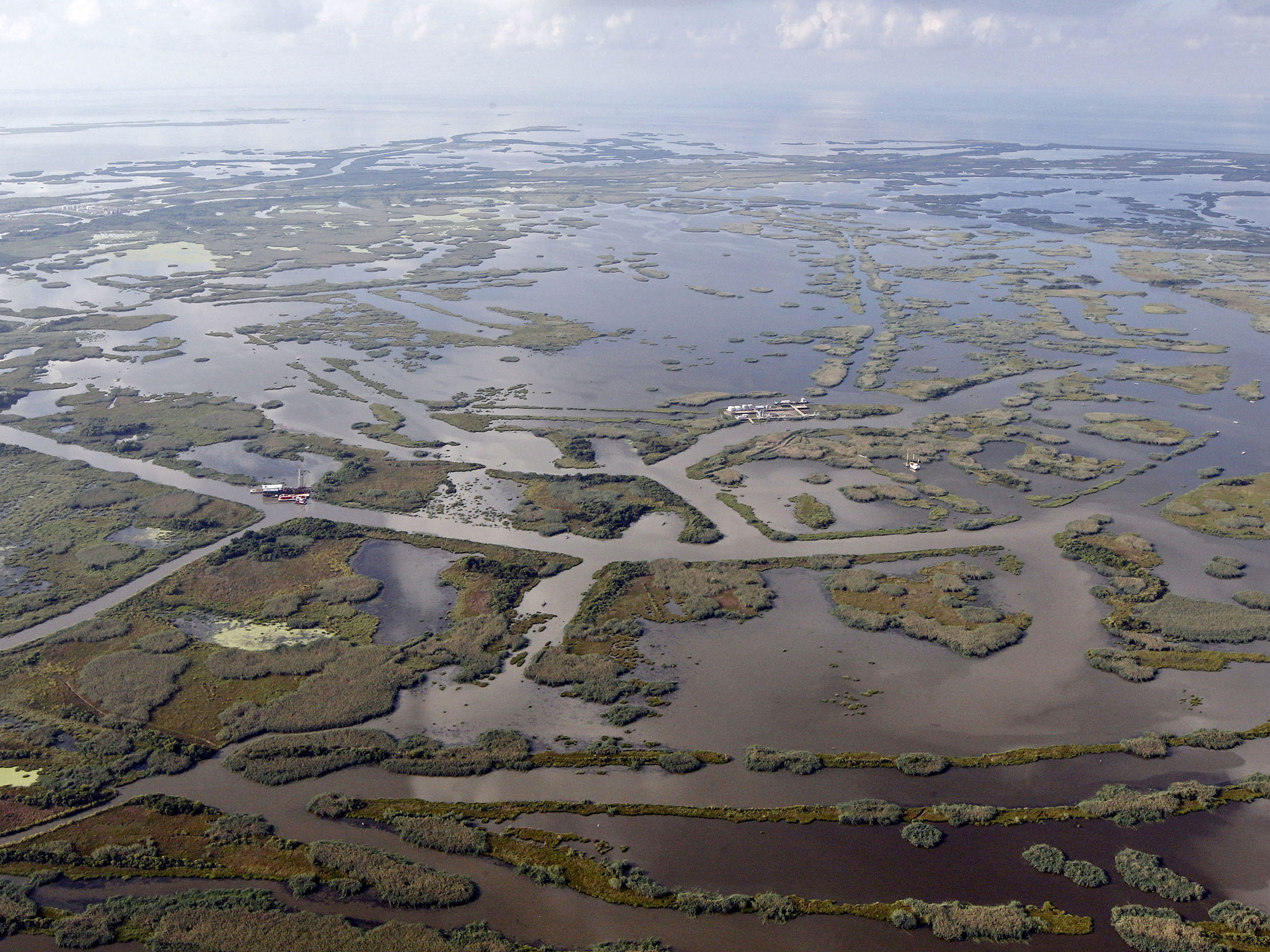 XL Catlin, Nature Conservancy Will Invest in Coastal Wetlands to ...